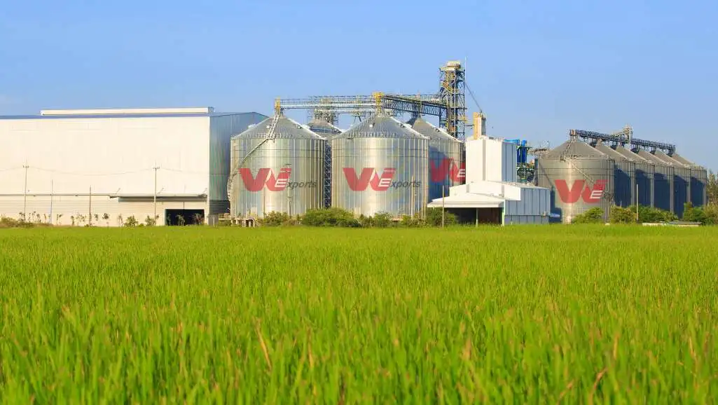 Best Indian Basmati, Non-Basmati Rice Exporter and Manufacturer